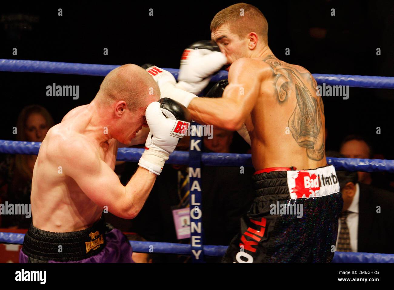 Boxers in action at Bethnal Green's York Hall on the undercard of Stock ...
