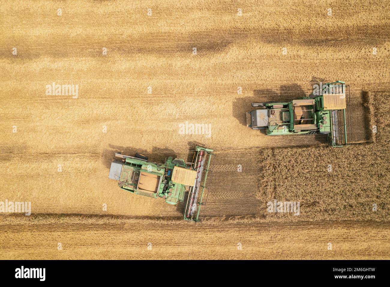 Combine harvesting: aerial view of agricultural machine collecting ...