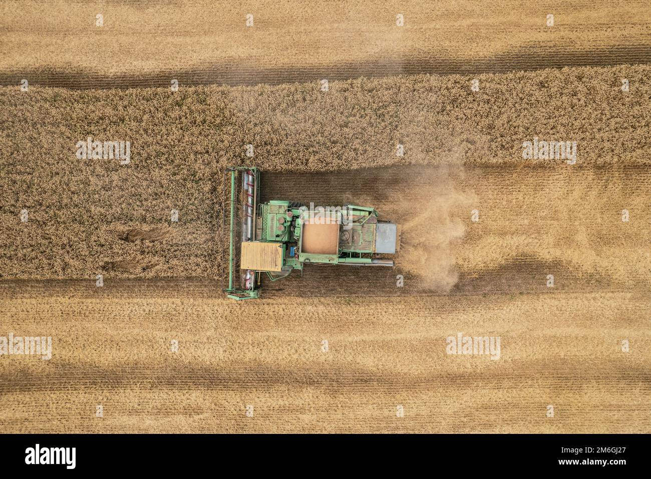 Combine harvesting: aerial view of agricultural machine collecting ...