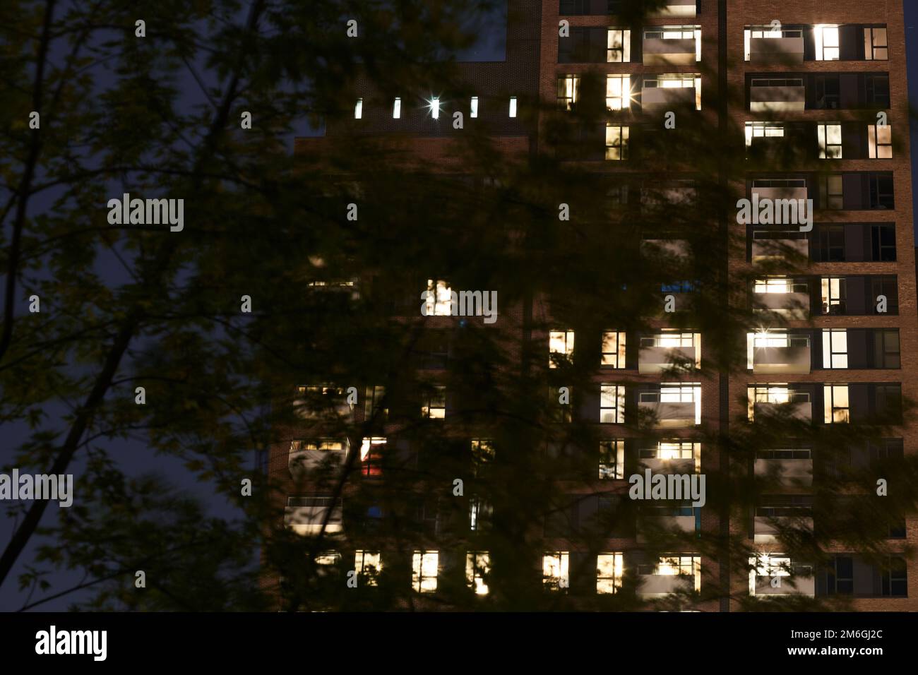 Residential flats glow at night as trees move in the wind Stock Photo ...