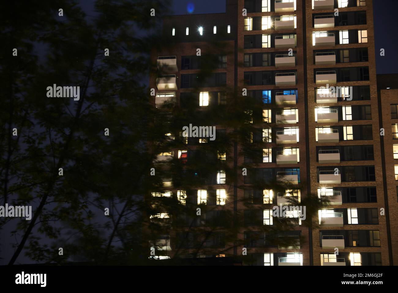 Residential flats glow at night as trees move in the wind Stock Photo ...