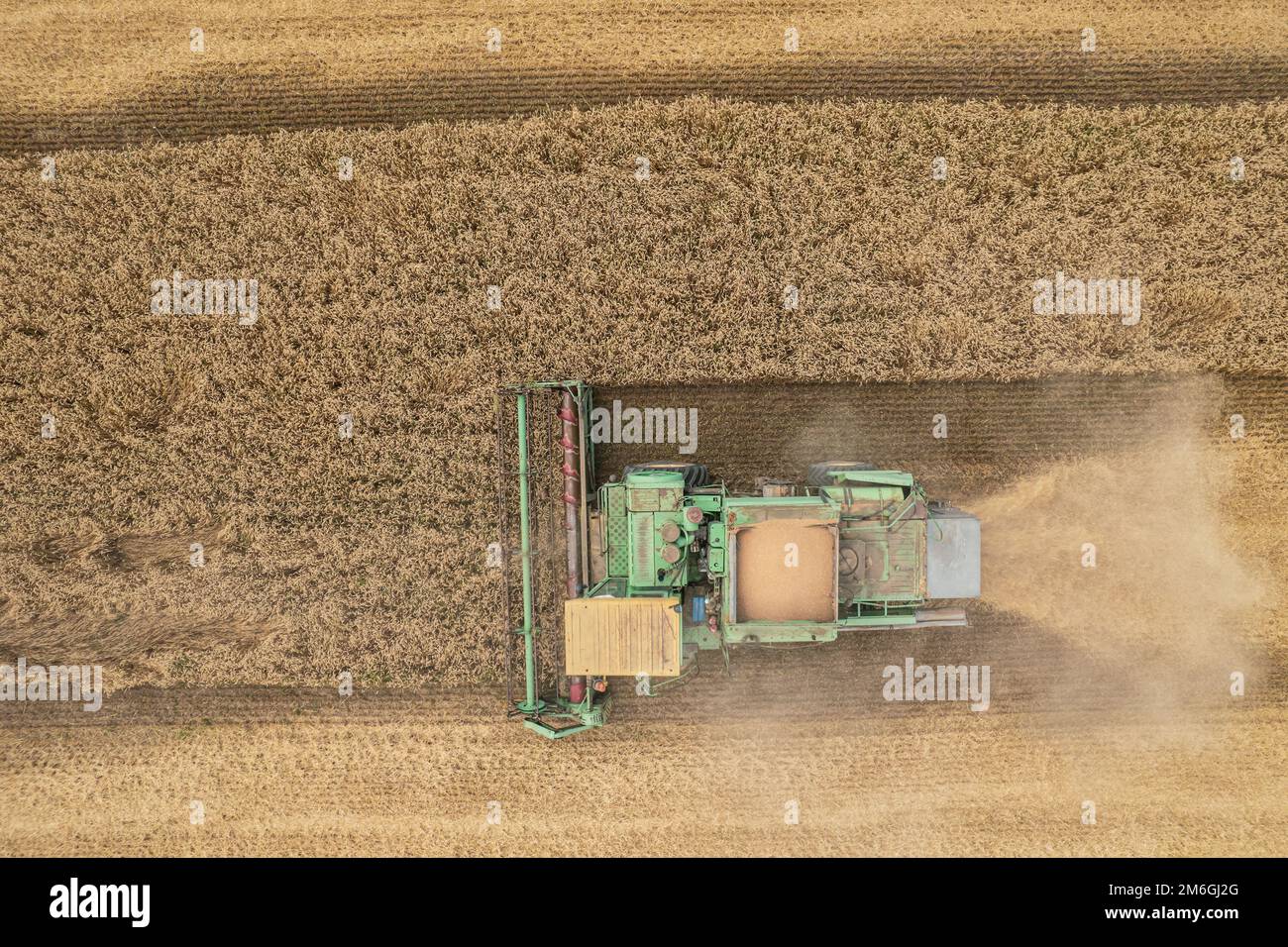 Combine harvesting: aerial view of agricultural machine collecting ...