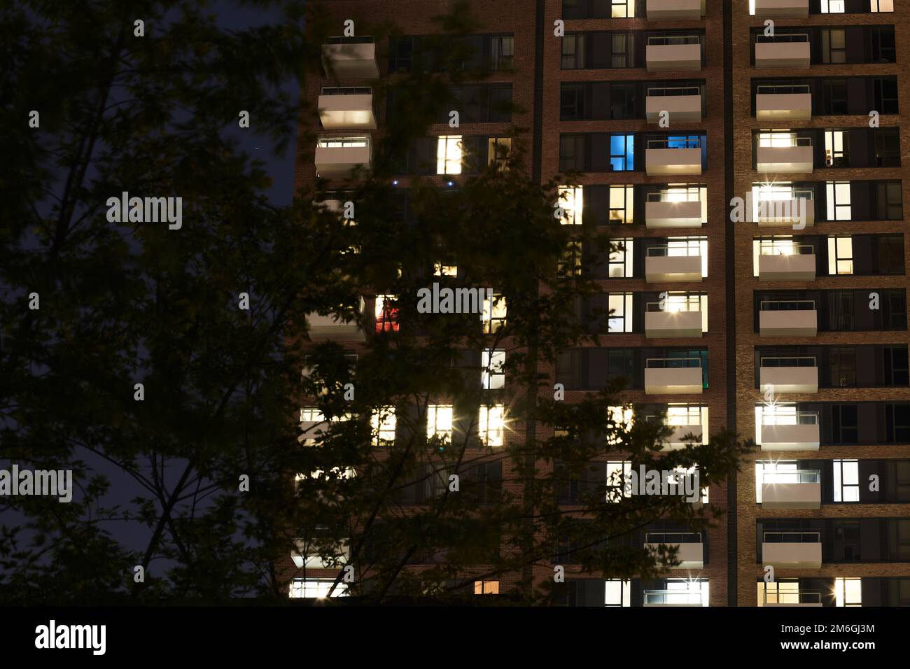 Residential flats glow at night as trees move in the wind Stock Photo ...