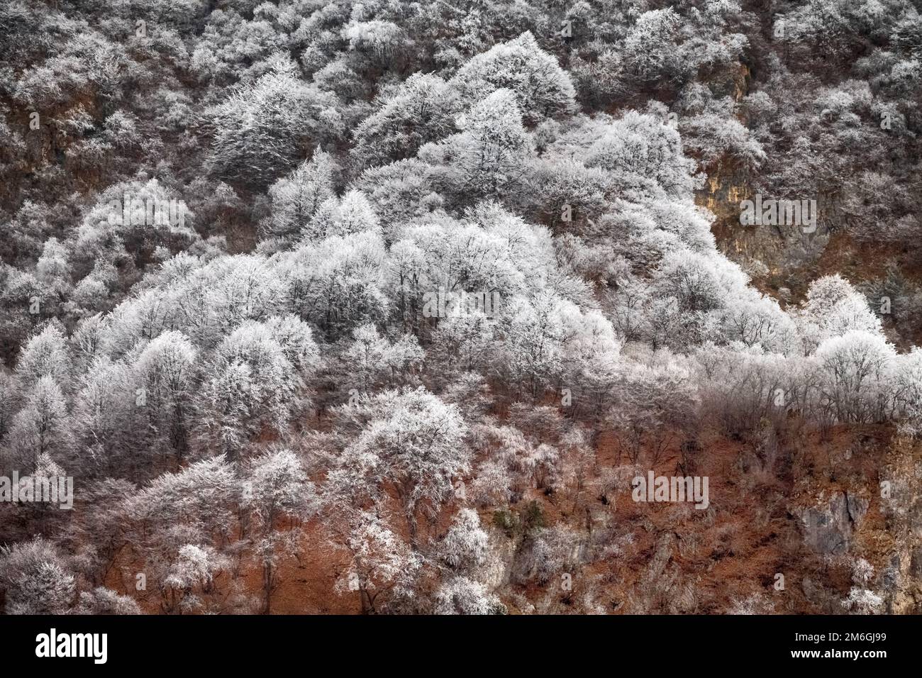 First frost winter coming hi-res stock photography and images - Alamy