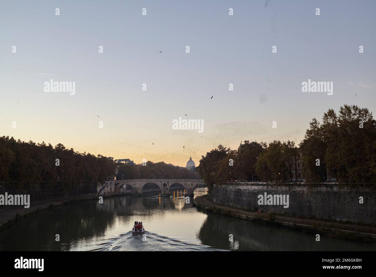 Starlings murmuration rome hi-res stock photography and images - Alamy
