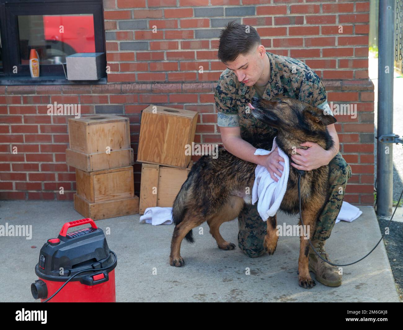 U.S. Marine Corps Lance Cpl. Thomas C. Kinser, military working dog ...