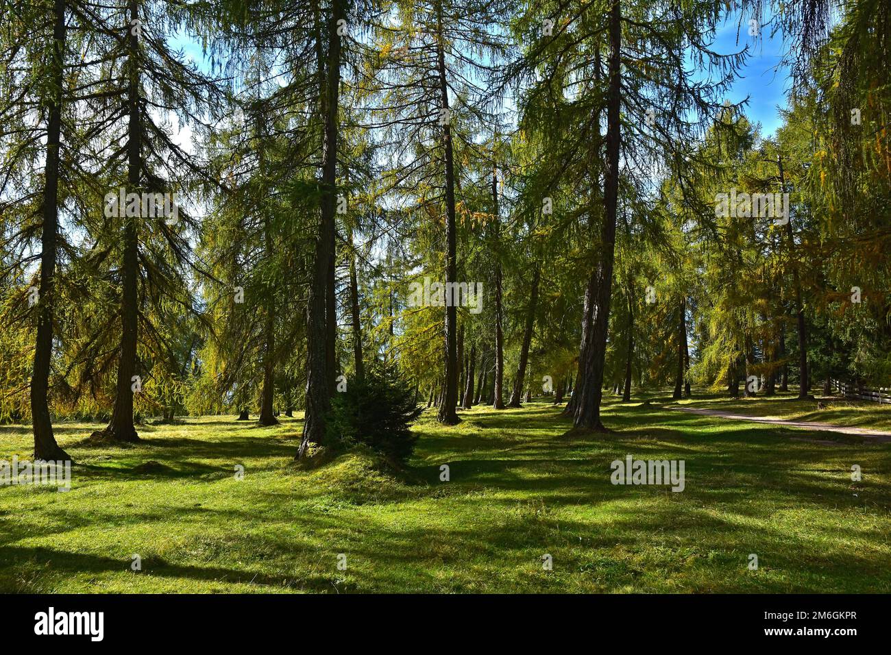 Ma lten hi-res stock photography and images - Alamy