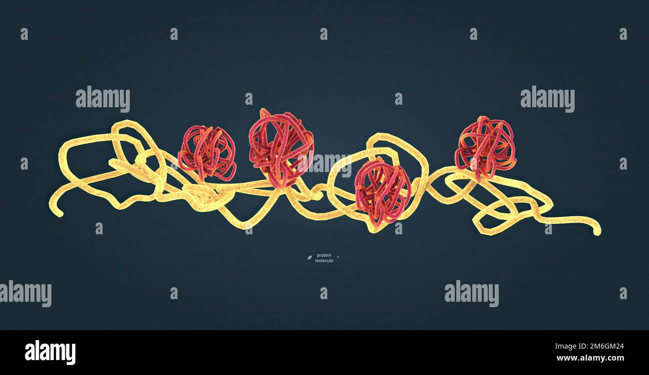 Smooth peristalsis hi-res stock photography and images - Alamy