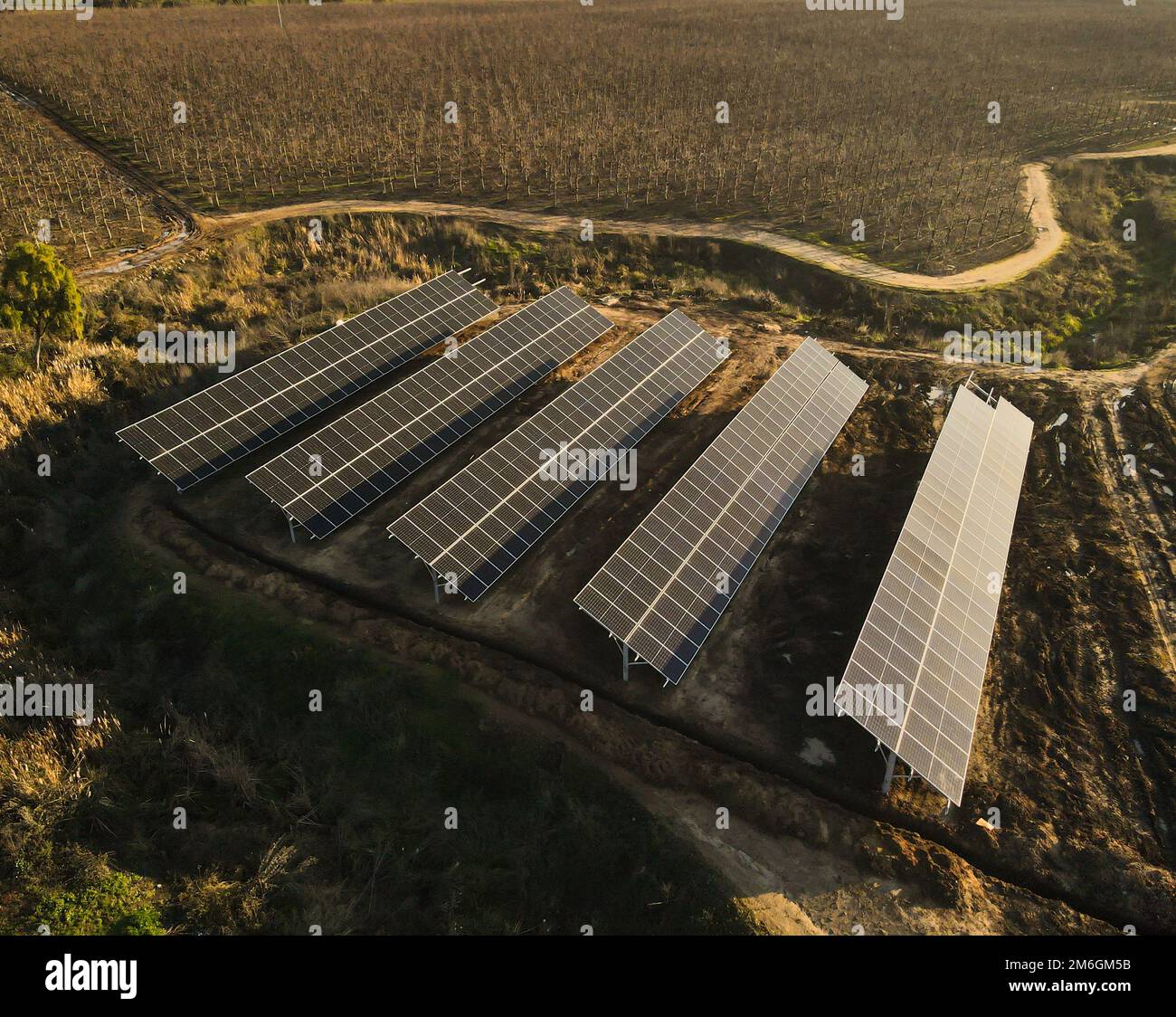 Aerial view of solar power plant solar panels on vineyard. Electric panels for producing clean ...