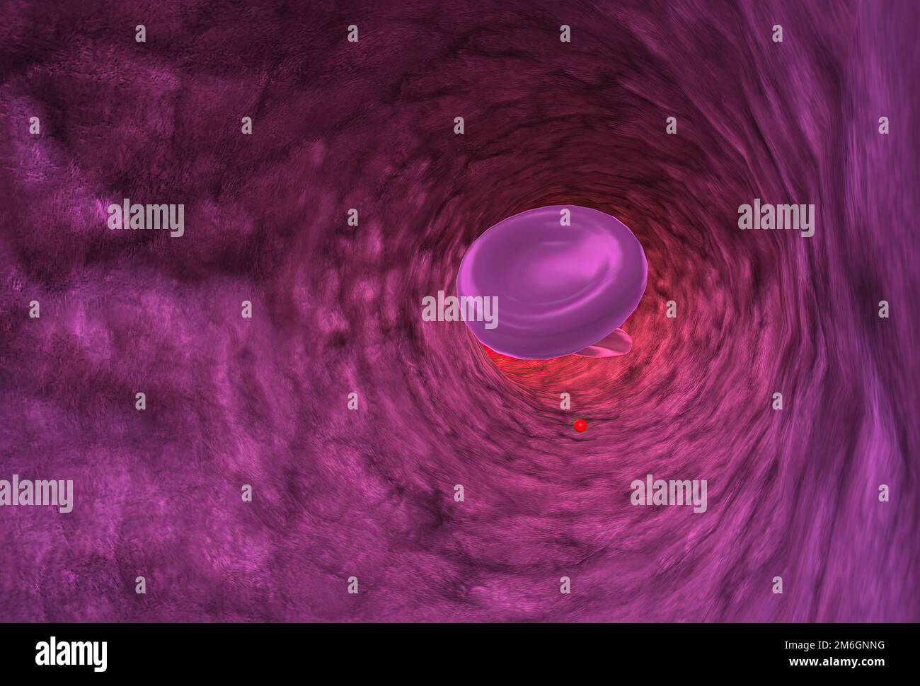 Marrow cavity hi-res stock photography and images - Alamy
