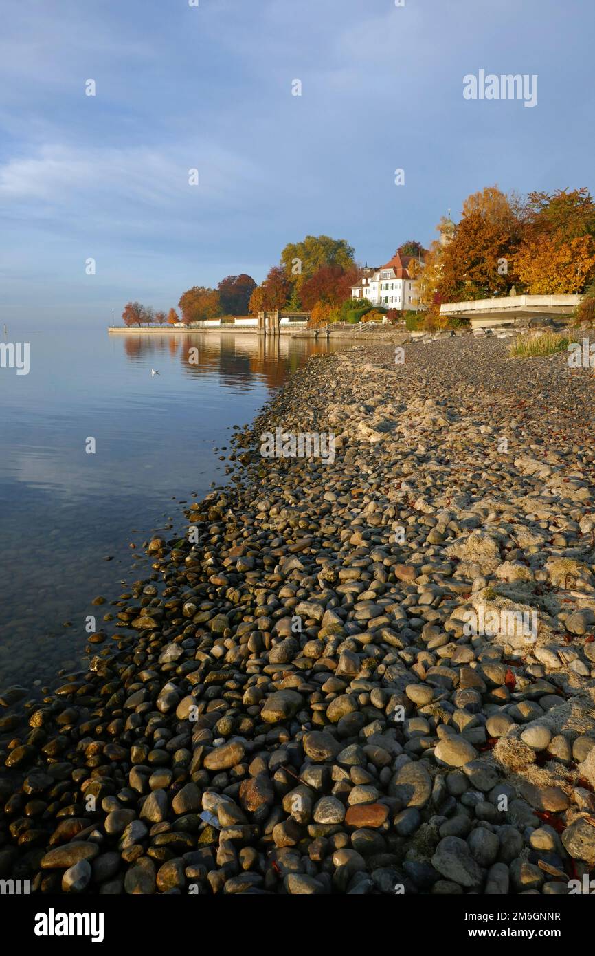 Castle harbor of the royal summer residence in Friedrichshafen on Lake ...