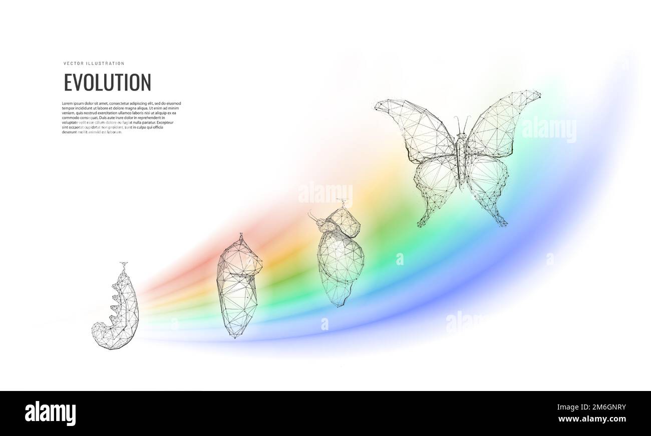 Life cycle of a caterpillar Stock Vector Images - Alamy