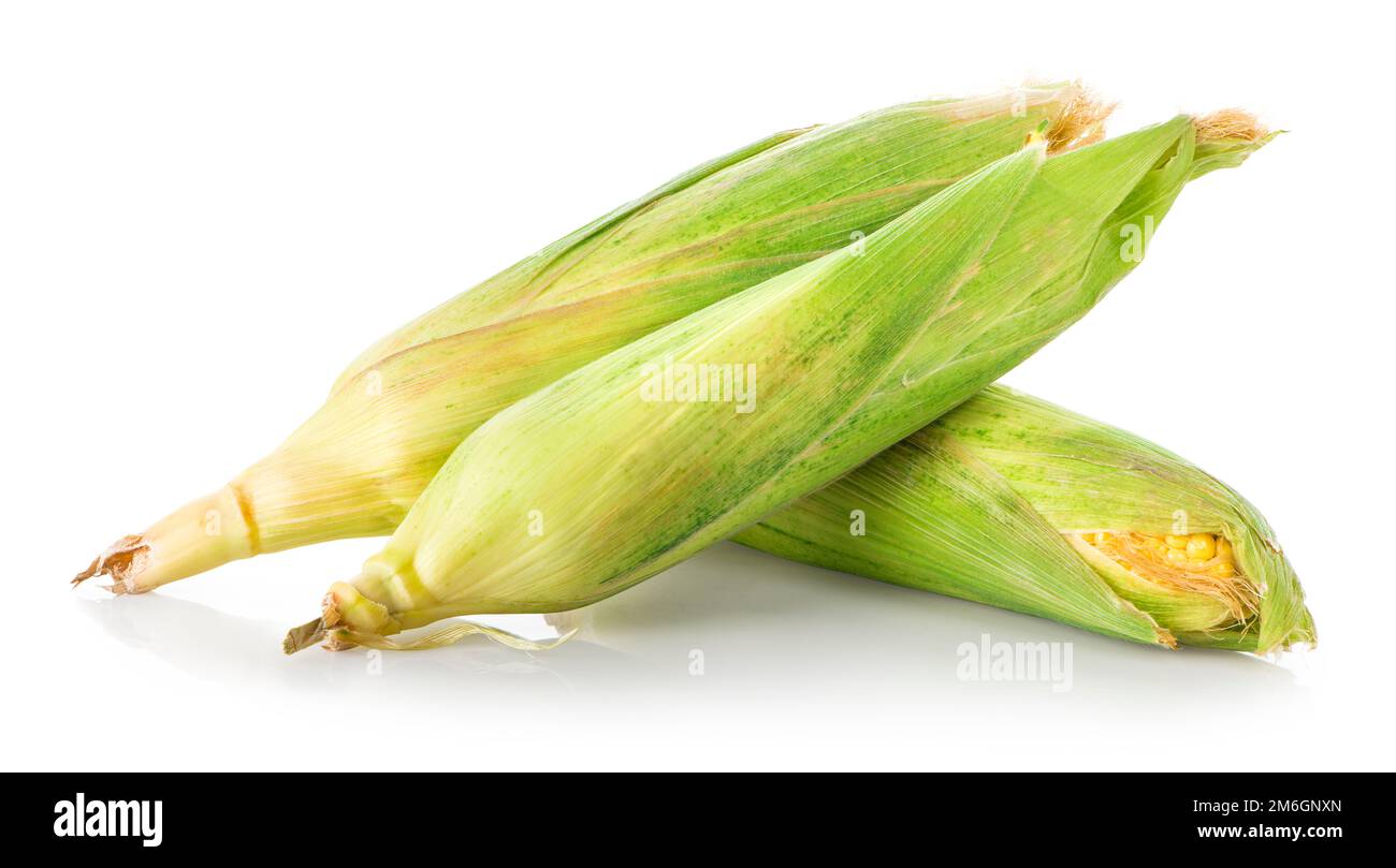 Three corn ears Stock Photo - Alamy