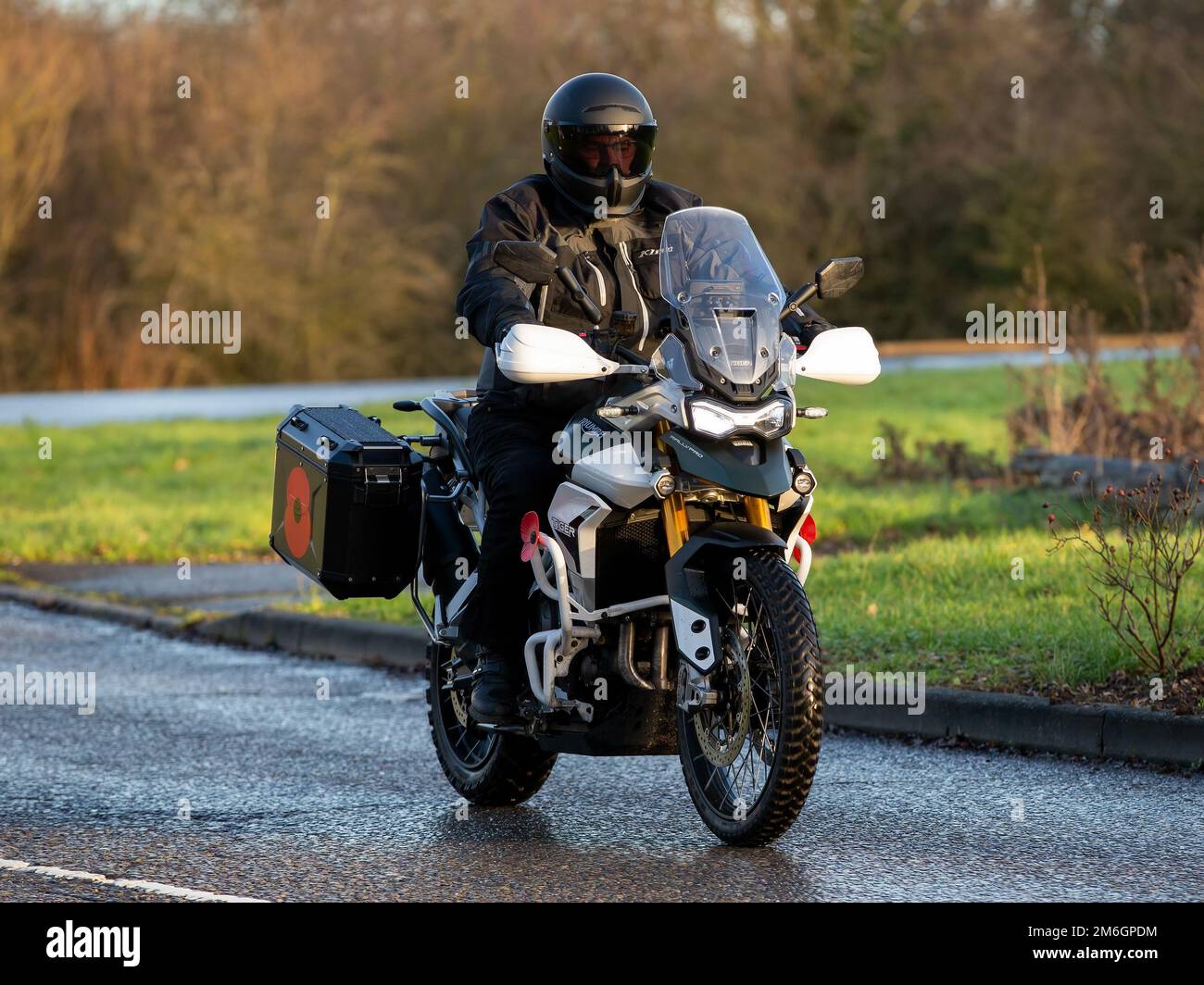 Tiger 900 rally hi-res stock photography and images - Alamy