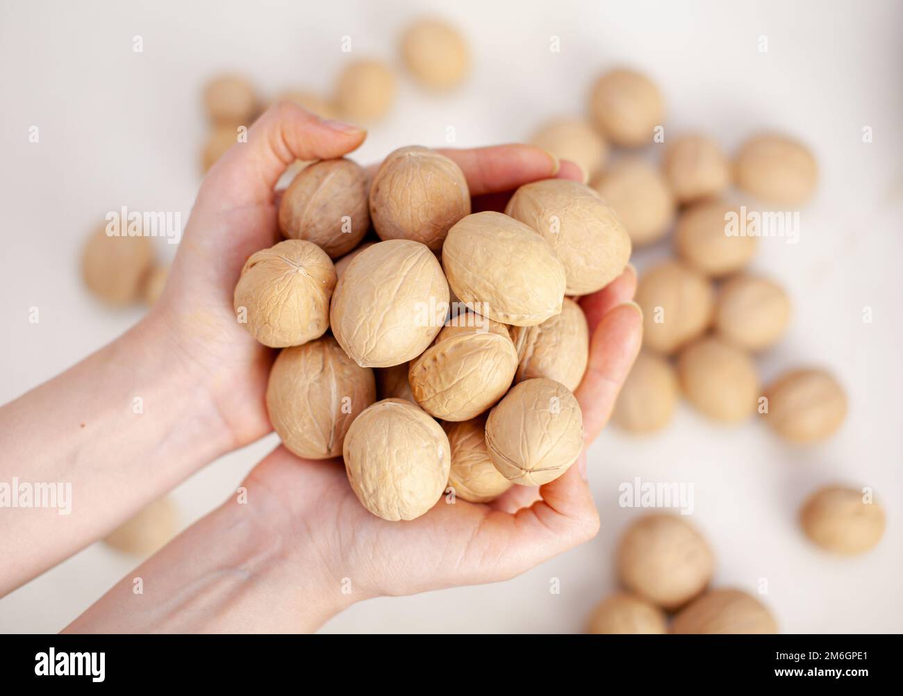 Lots of whole walnuts in women's hands close-up. Healthy, organic food ...