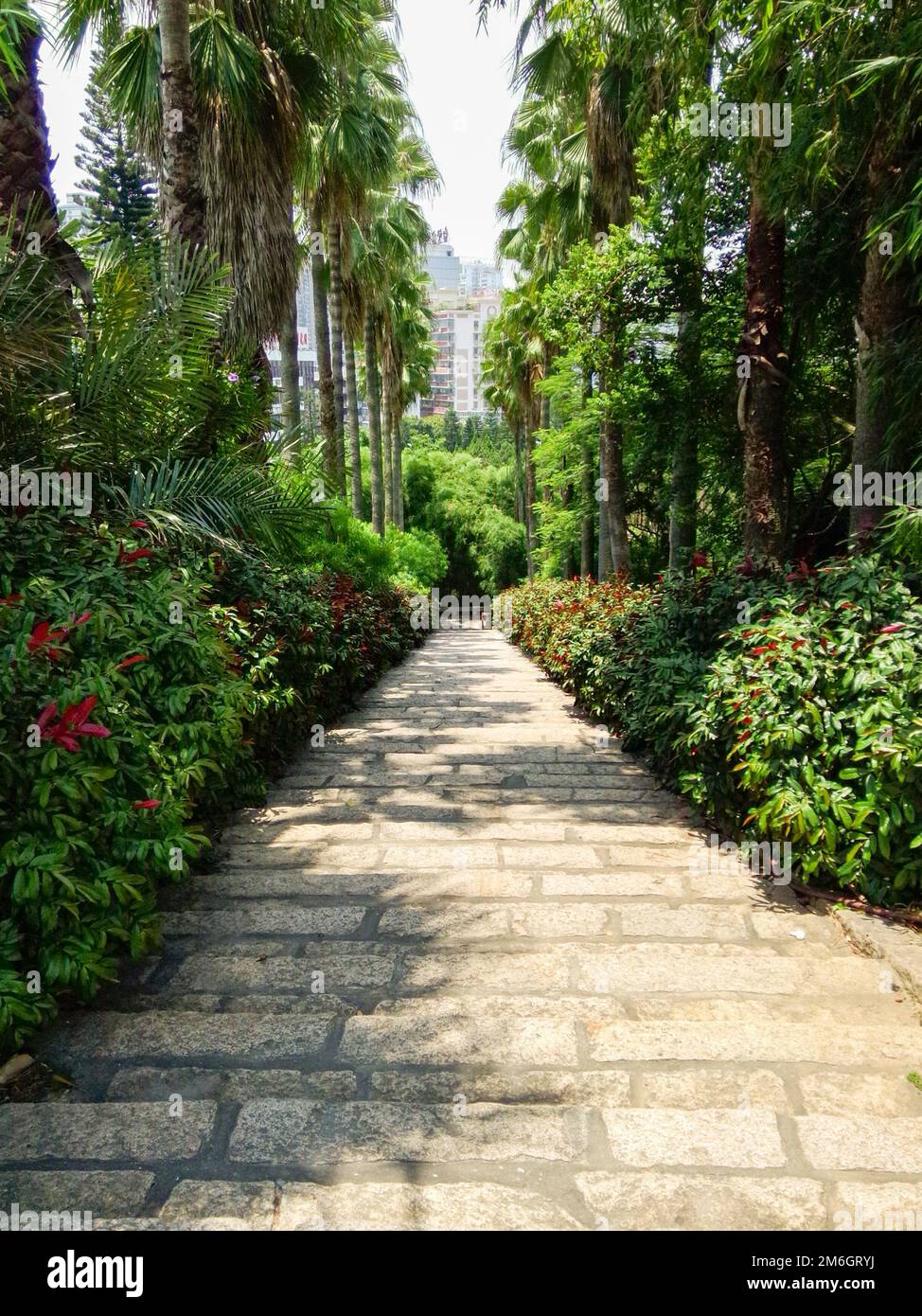 A vertical shot of an idyllic park with stone steps lined with ...