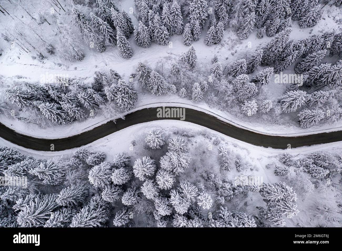 Aerial windy roads in the forest hi-res stock photography and images ...
