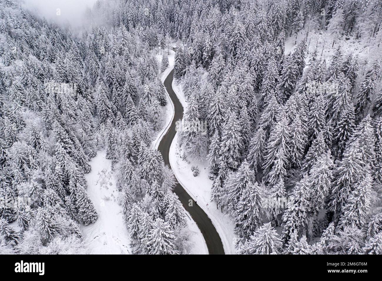 Aerial windy roads in the forest hi-res stock photography and images ...