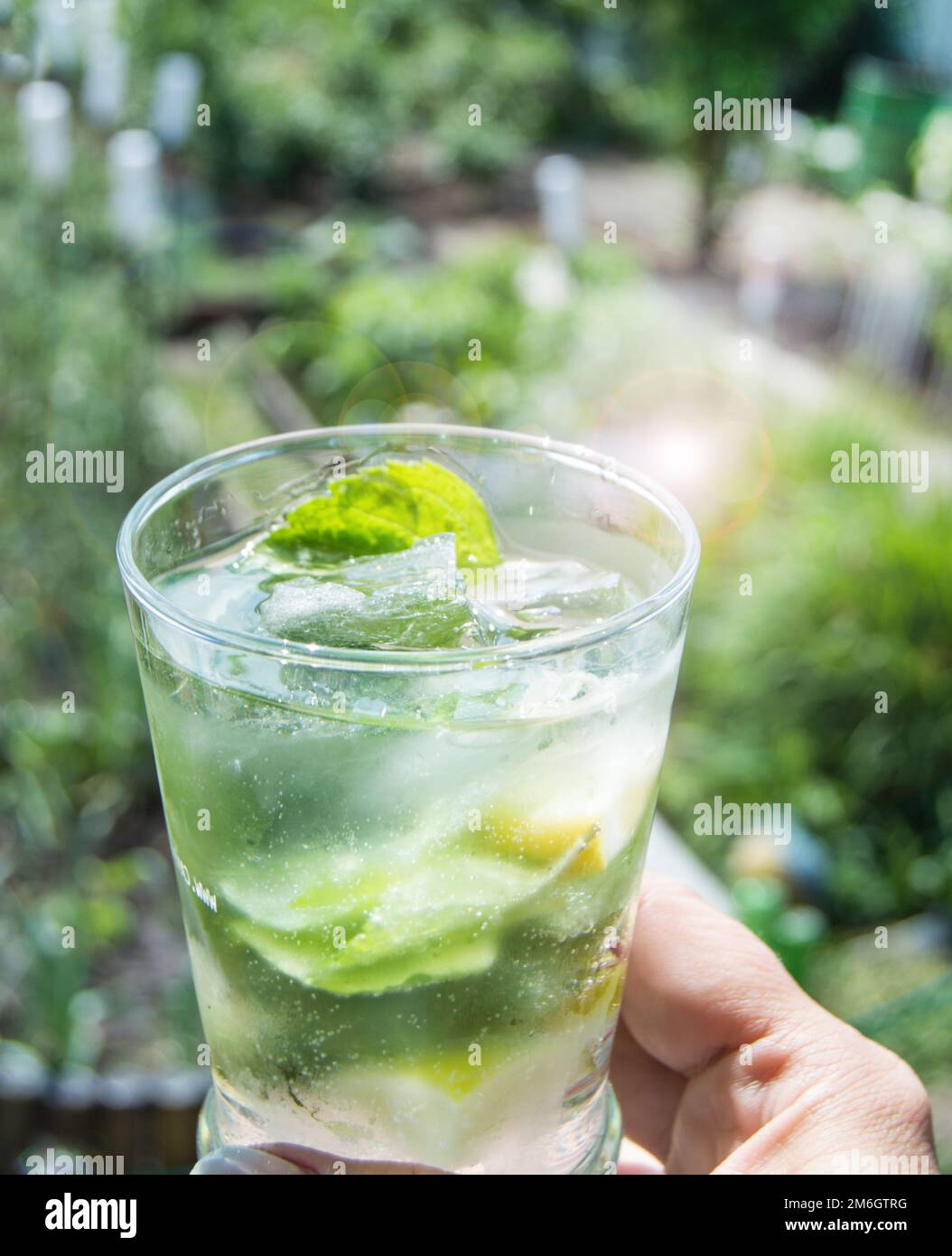 Mojito drink hi-res stock photography and images - Alamy