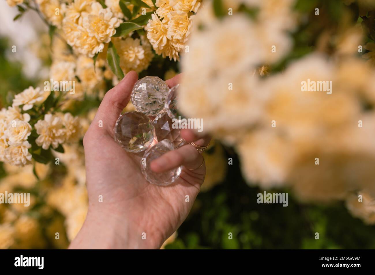 Hand holding clear crystals in the middle of yellow springs flow Stock ...