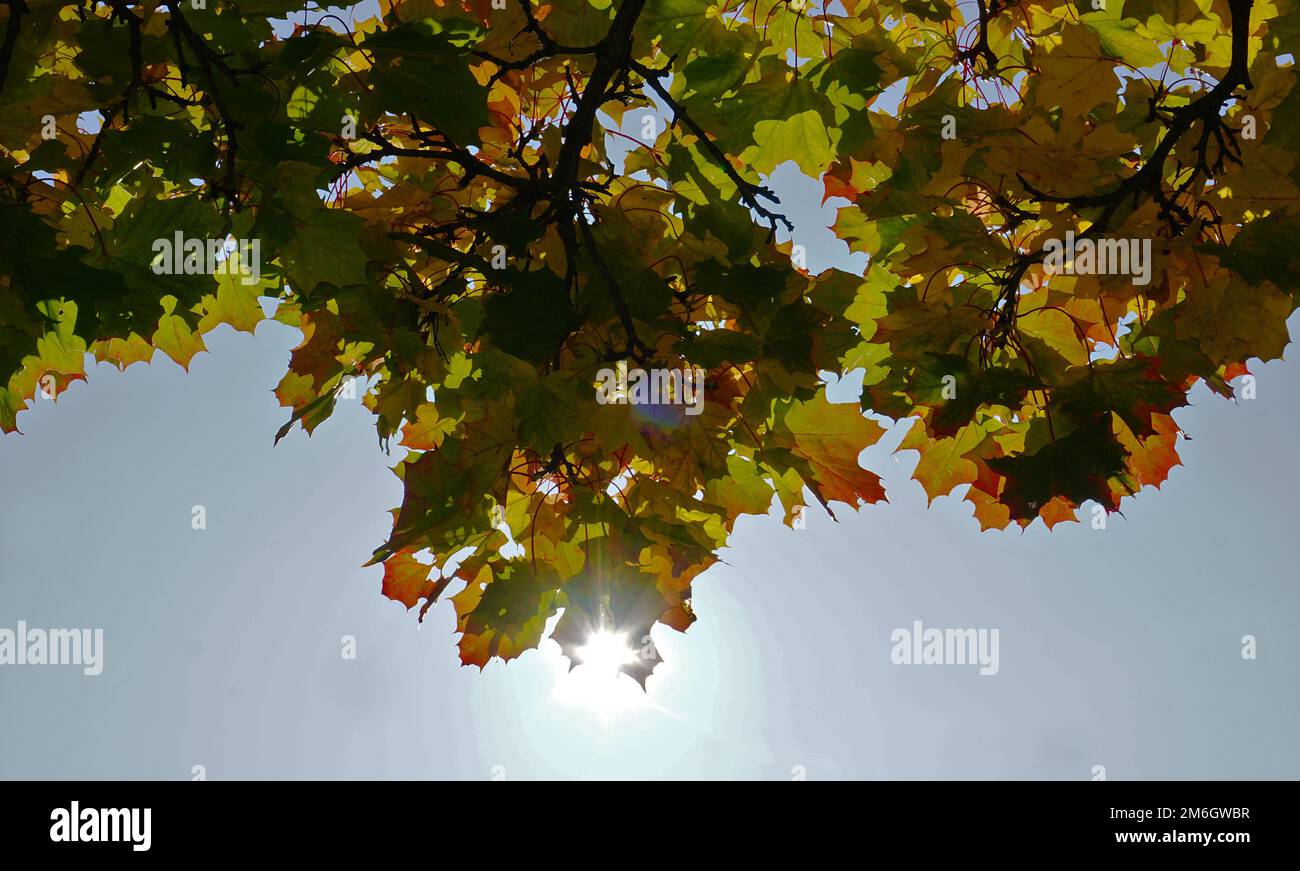 Light european hi-res stock photography and images - Alamy