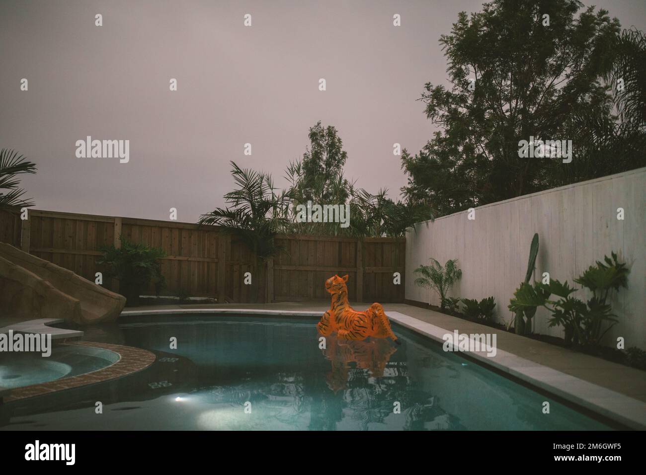 Tiger pool floaty sitting in pool on a cloudy day in California Stock ...