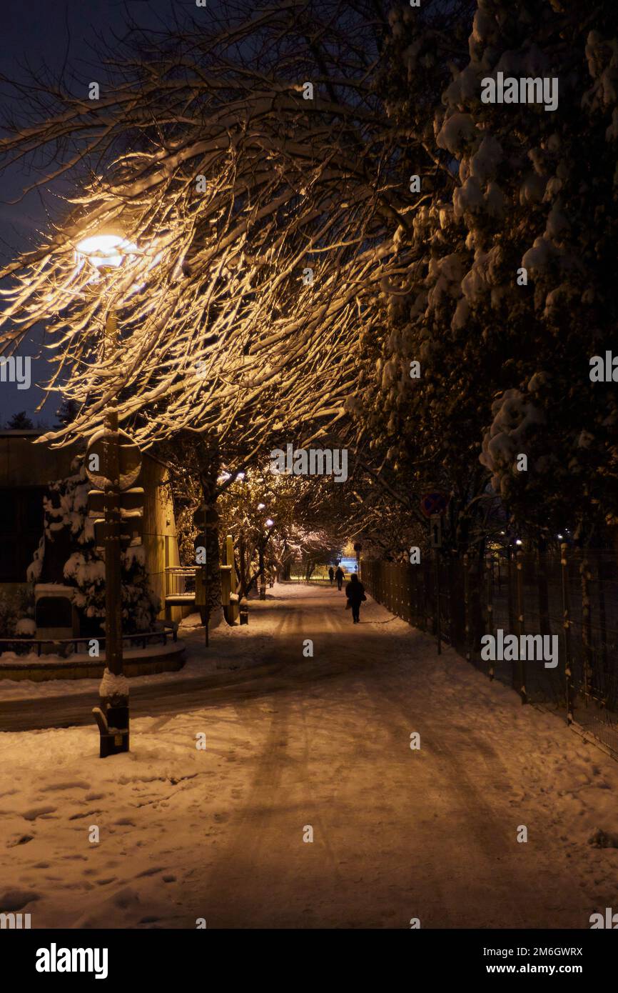 Snowy street in winter hi-res stock photography and images - Alamy