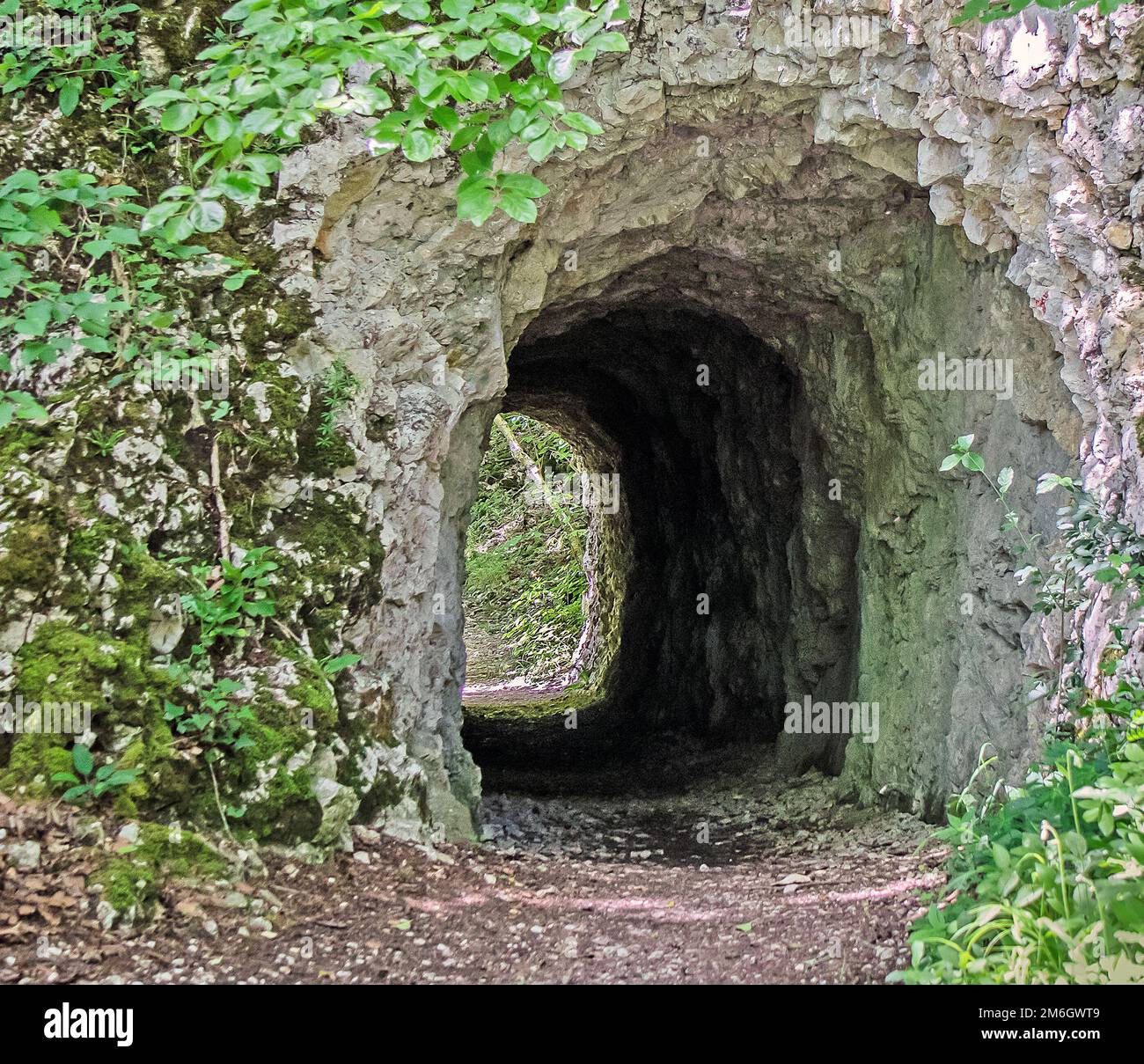 Rock passage, Danube valley near Beuron Stock Photo - Alamy Rock passage, Danube valley near Beuron Stock Photo - Alamy