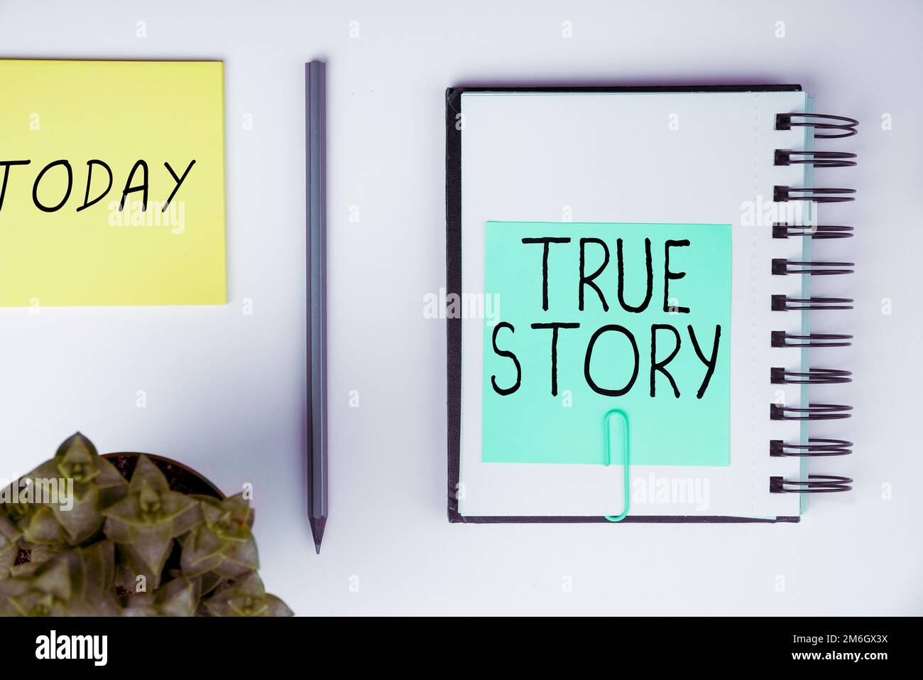 Text showing inspiration True Story. Internet Concept The day to day ...