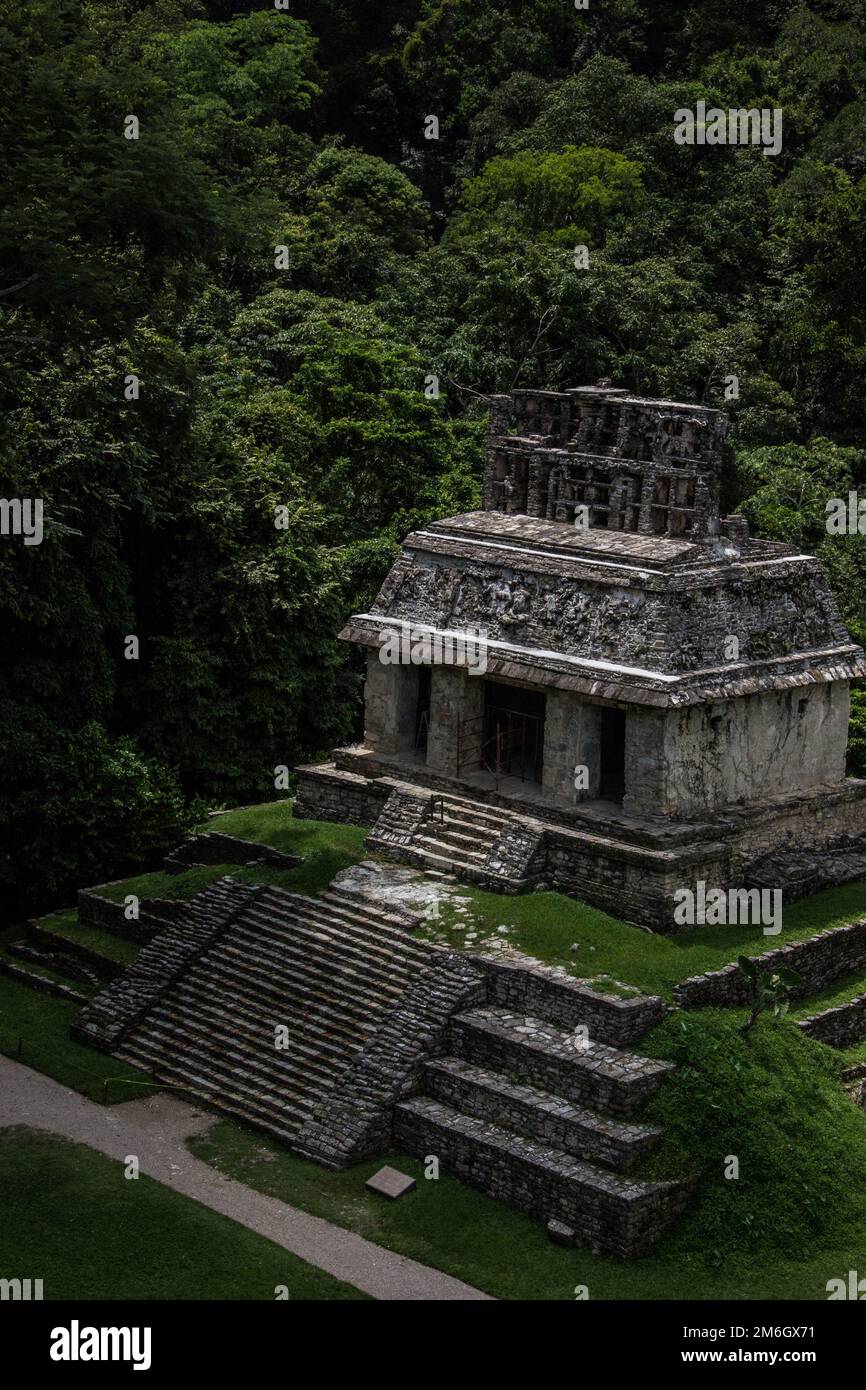 An aerial view of Palenque temple in dense greenery Stock Photo - Alamy