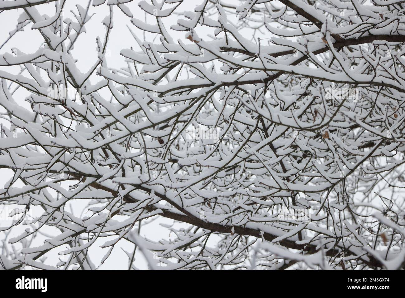 Winter without any snow hi-res stock photography and images - Alamy