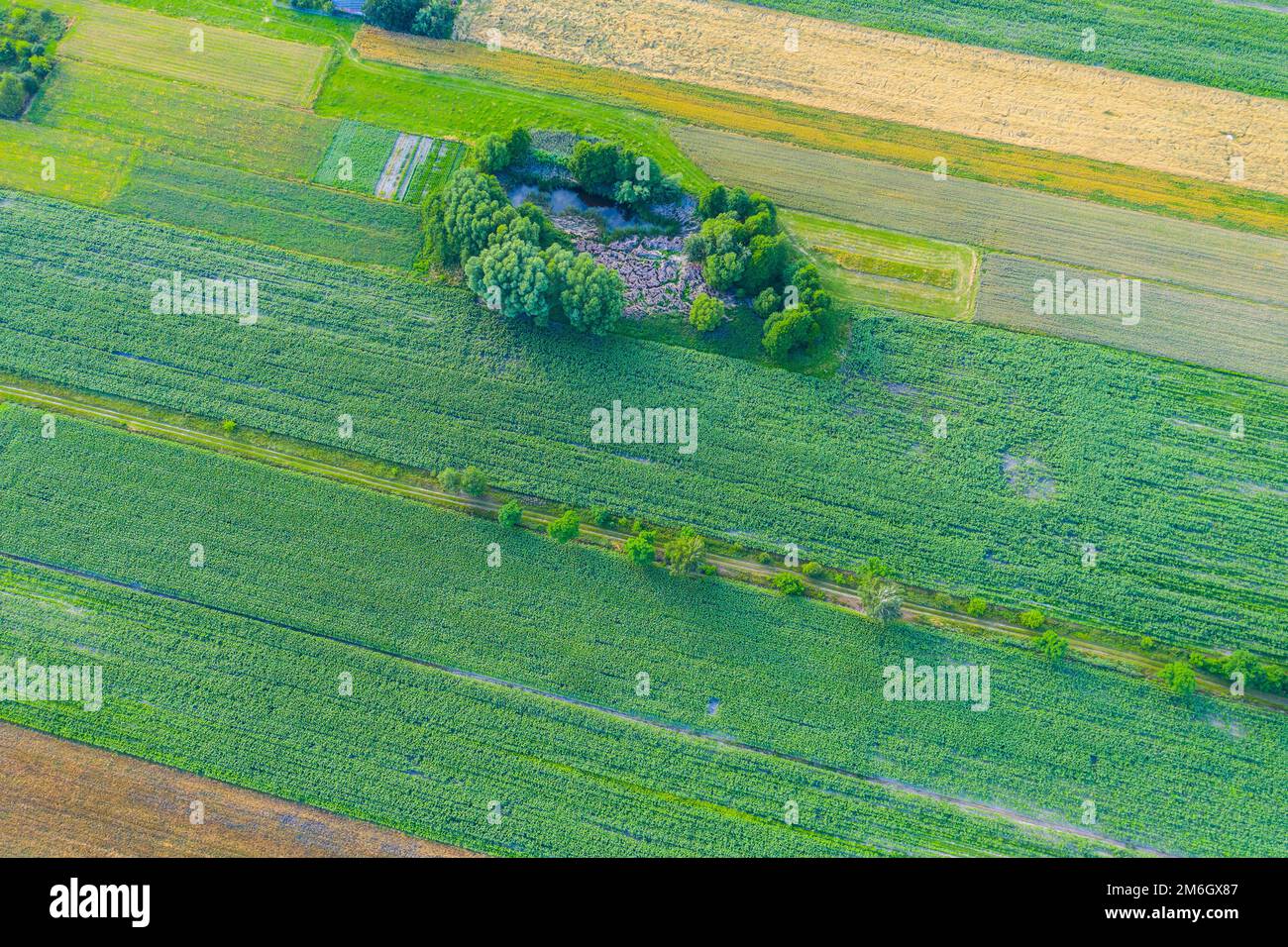 Abstract geometric shapes of agricultural parcels of different c Stock ...