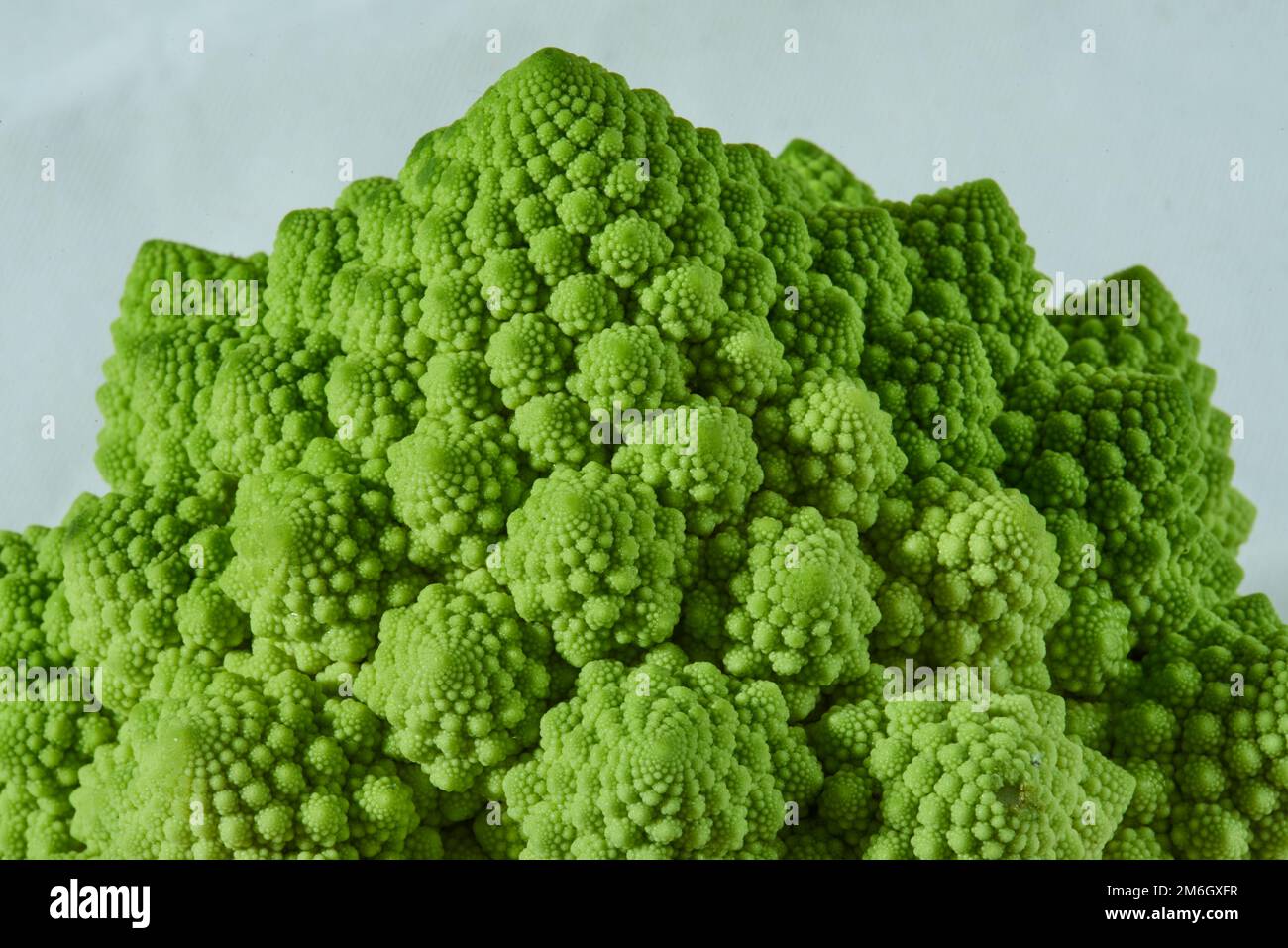 A closeup of Romanesco broccoli shot in a studio Stock Photo - Alamy