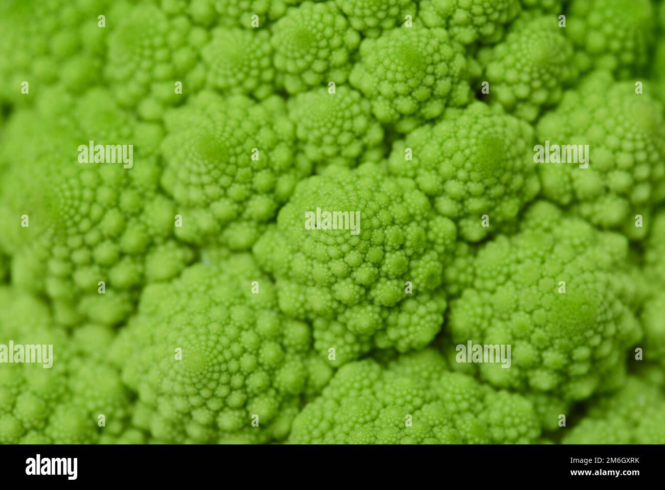 Mandelbrot zoom fractal hi-res stock photography and images - Alamy