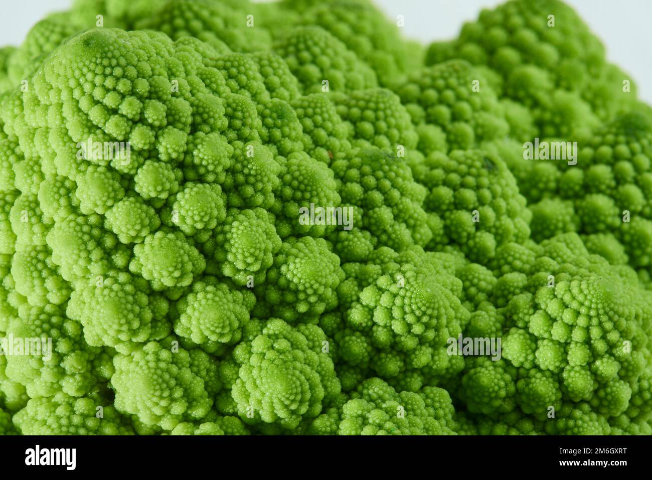 A closeup of Romanesco broccoli shot in a studio Stock Photo - Alamy