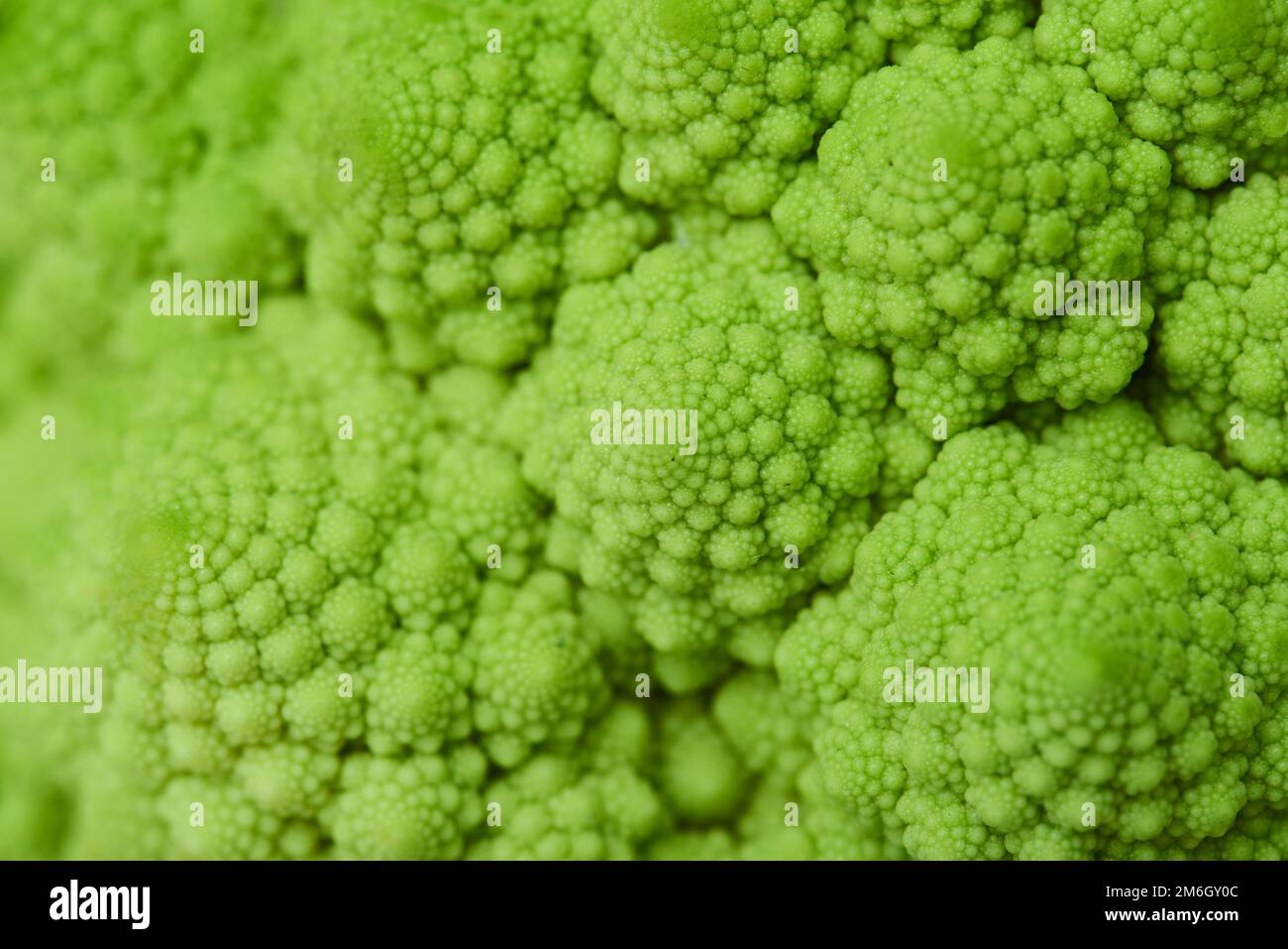 Mandelbrot zoom fractal hi-res stock photography and images - Alamy