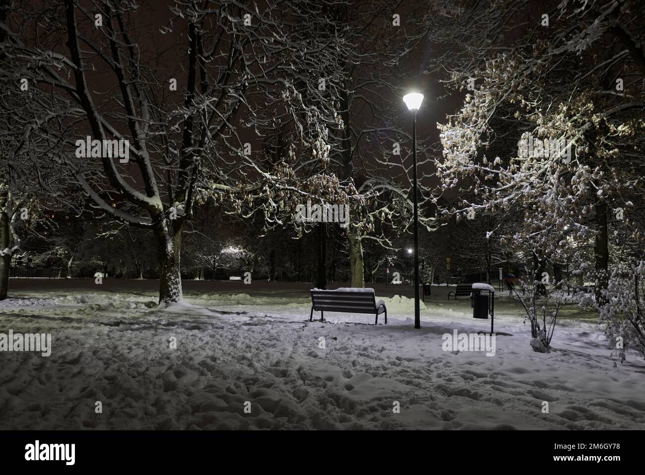 Illuminated city park with benches at night Stock Photo - Alamy