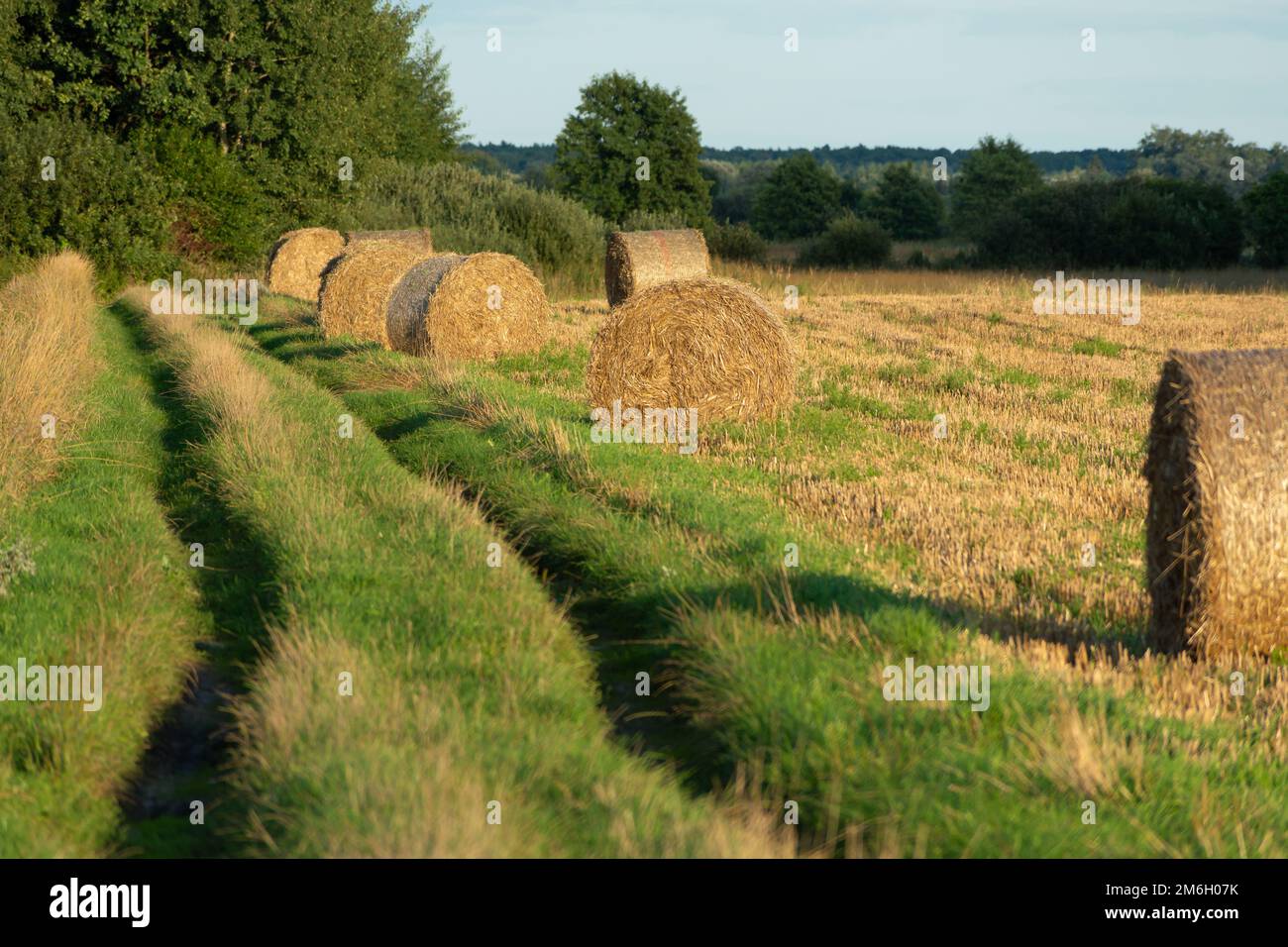 Yellow hay bales nature hi-res stock photography and images - Alamy