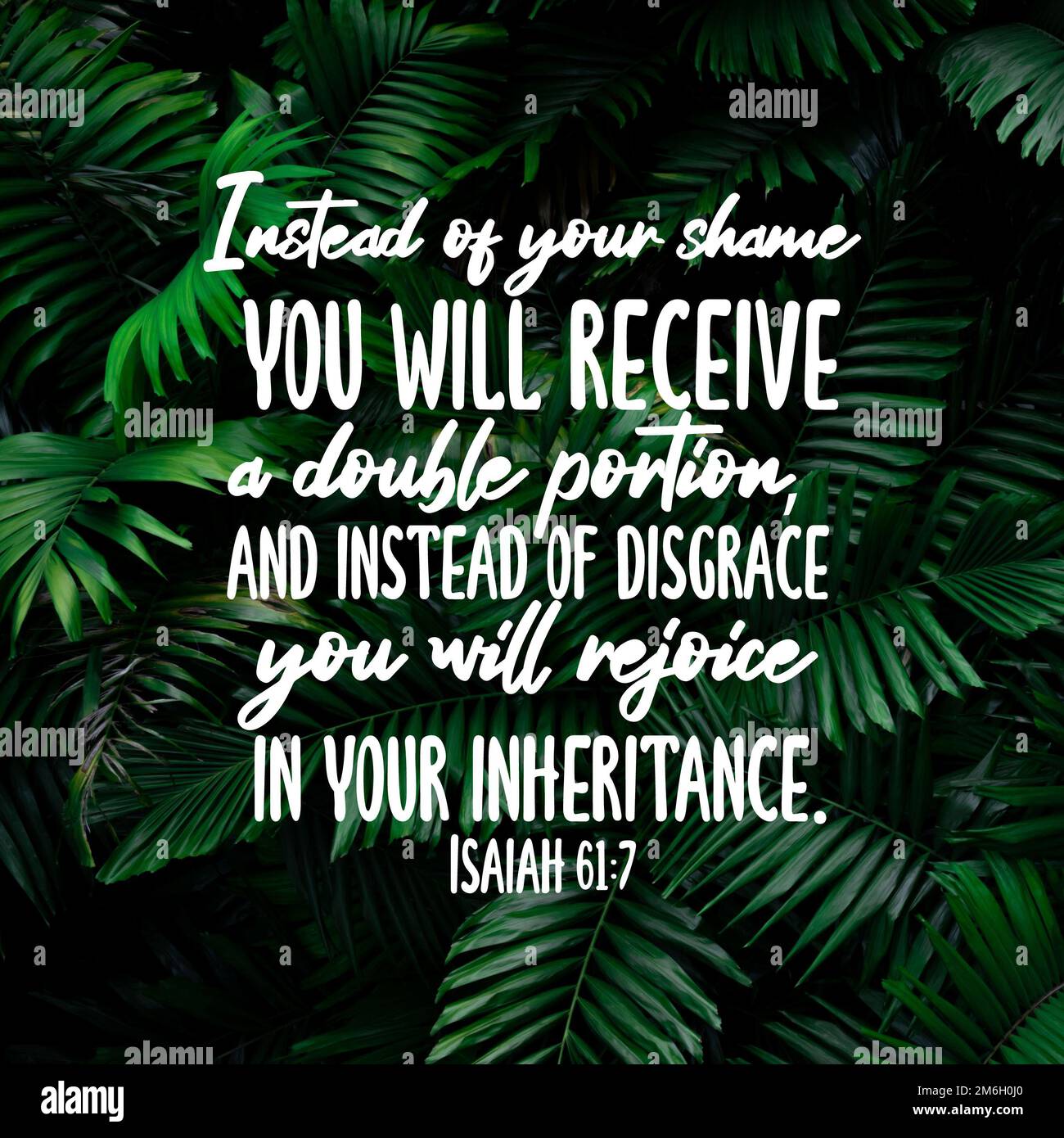 Isaiah 61 hi-res stock photography and images - Alamy