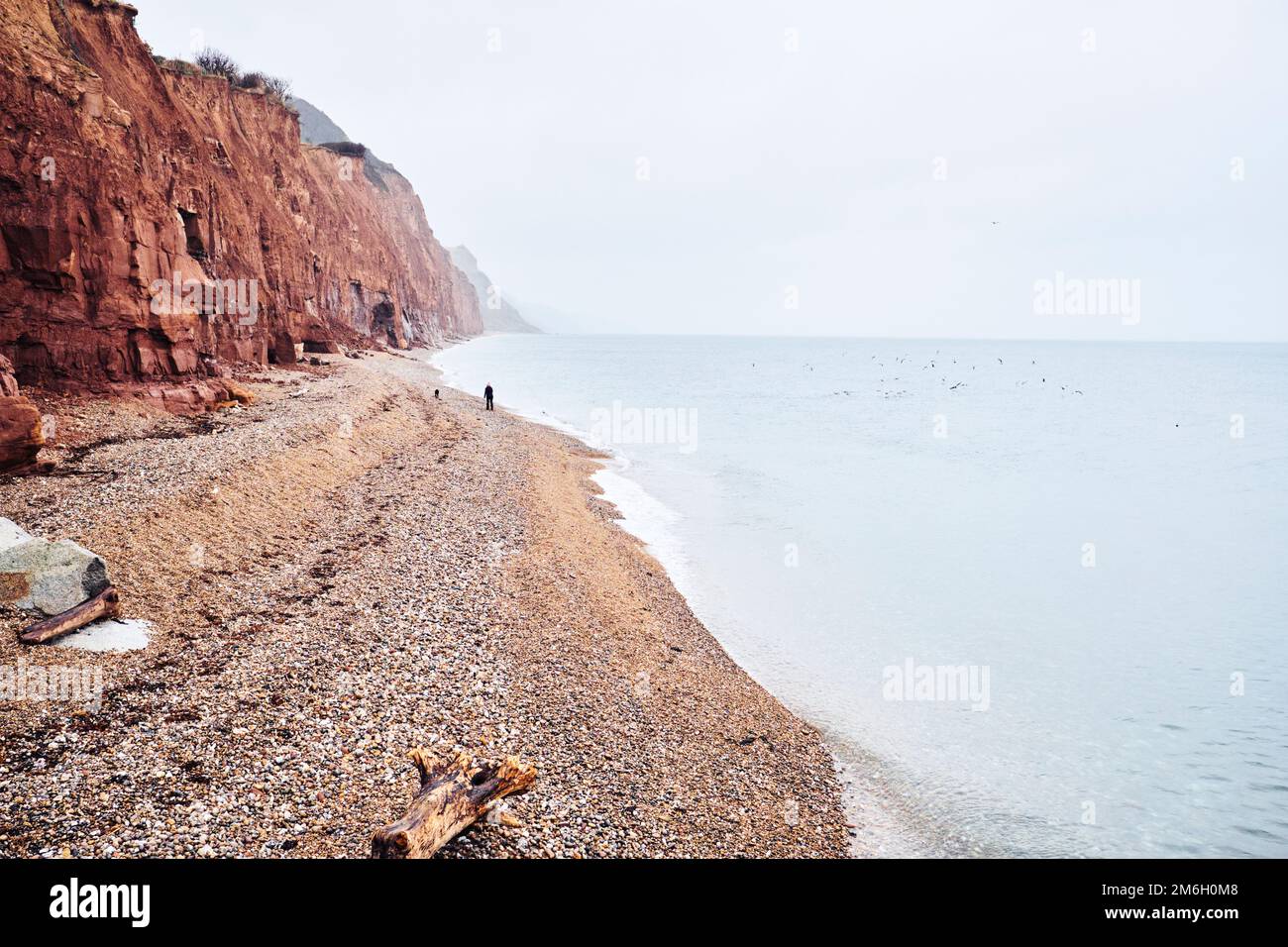 A jurassic coast landscape in southern england Stock Photo - Alamy