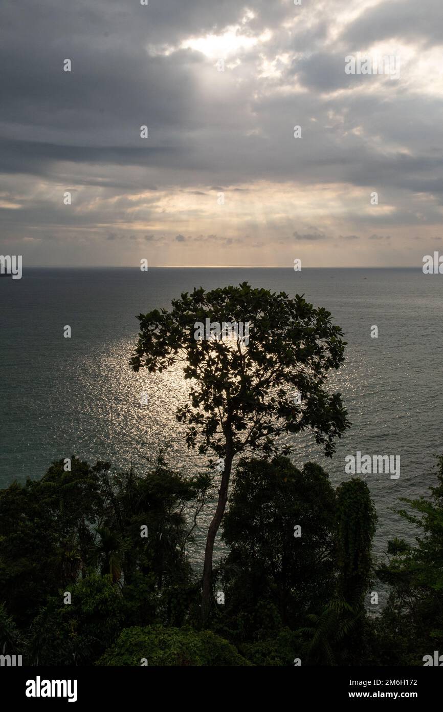 A high angle shot of the sea with beautiful greenery on the beach at ...
