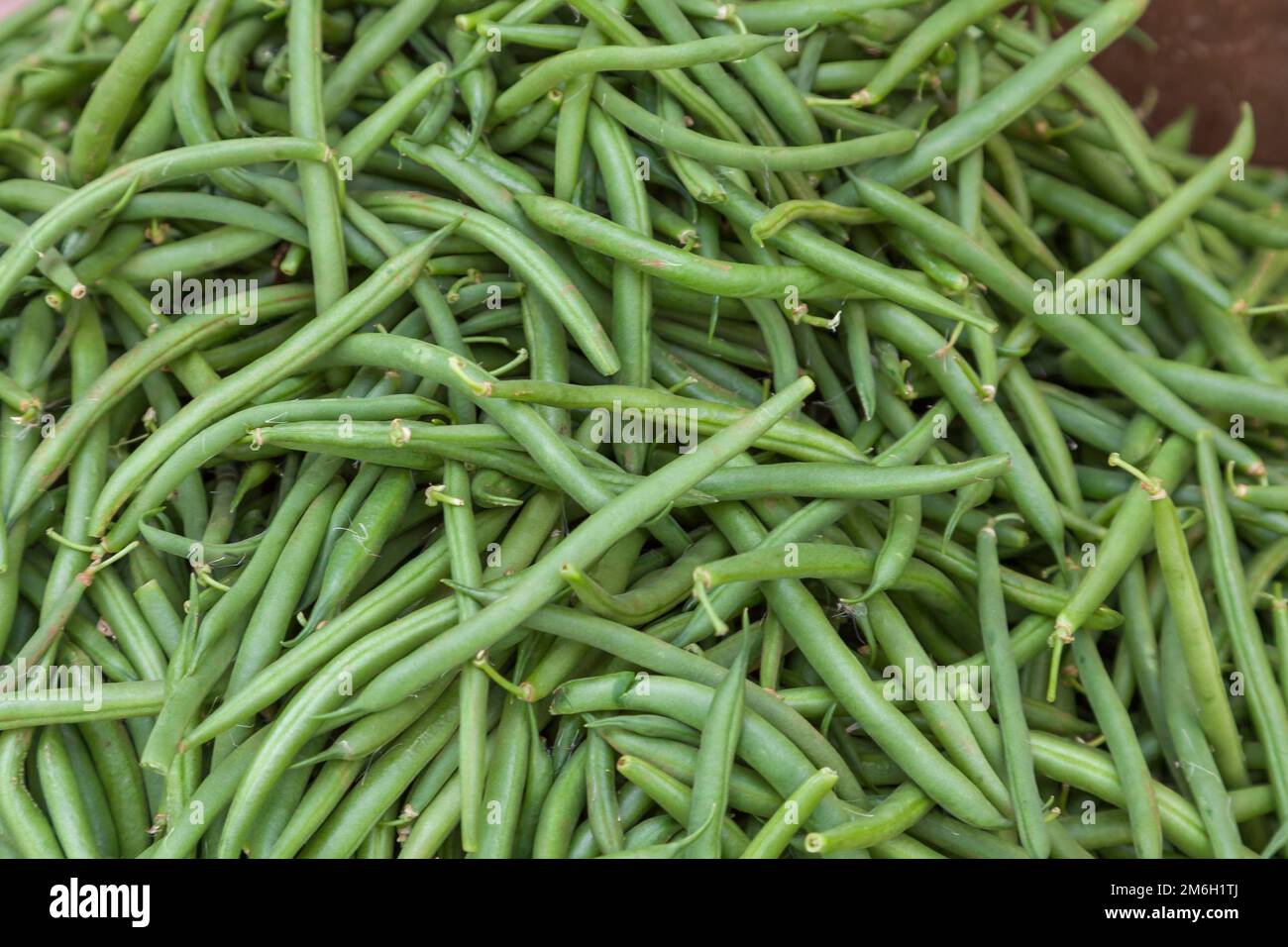 Market stall with green common bean (Phaseolus vulgaris) or runner ...