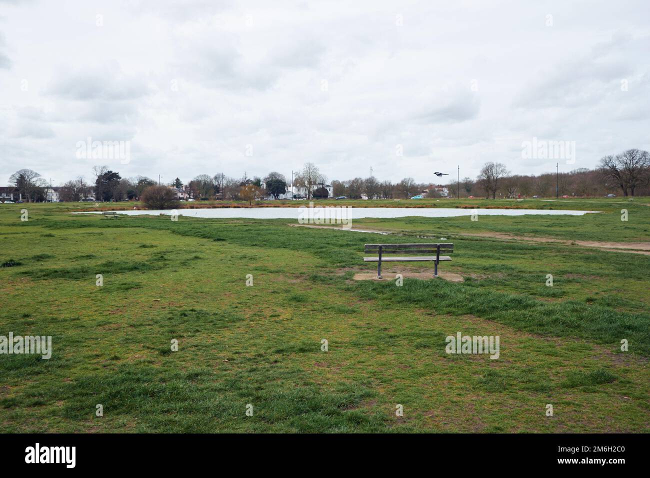 Wimbledon common pond hi-res stock photography and images - Alamy