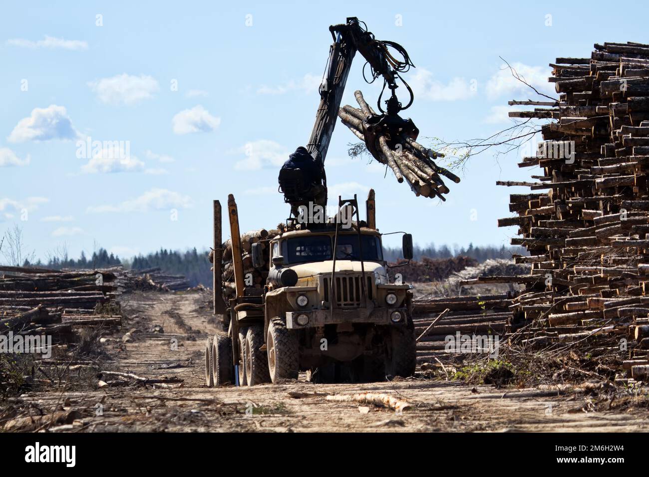 Operations for loading a logging truck Stock Photo - Alamy
