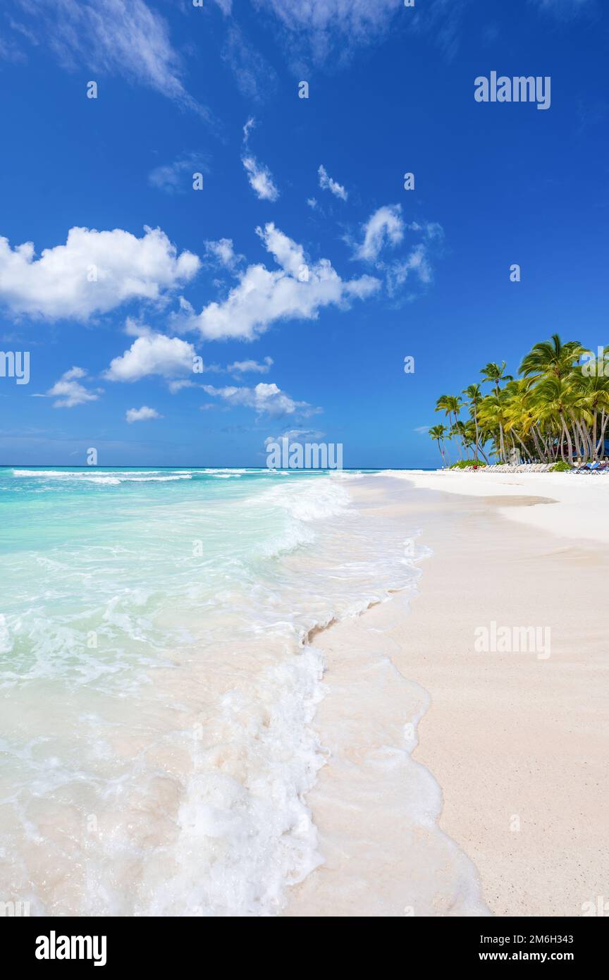 Magical paradise beach of the Caribbean sea Stock Photo - Alamy