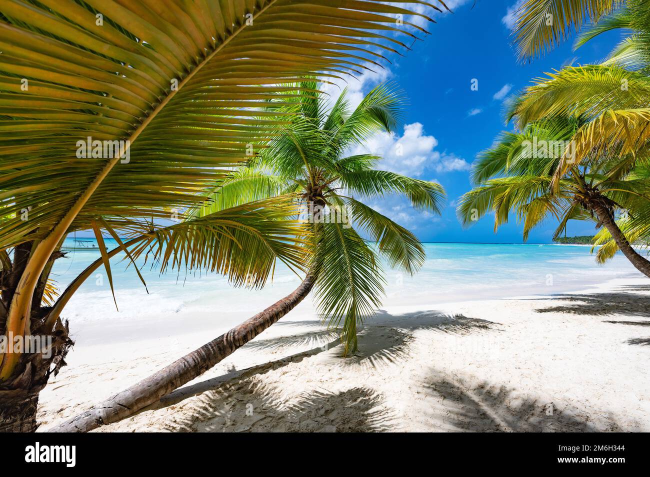 Beautiful caribbean island green trees hi-res stock photography and ...