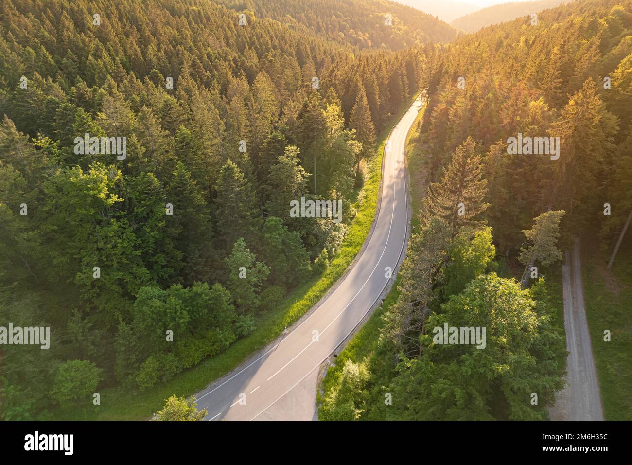 Forest Road to Sunset, Black Forest, Bad Wildbad, Germany Stock Photo ...