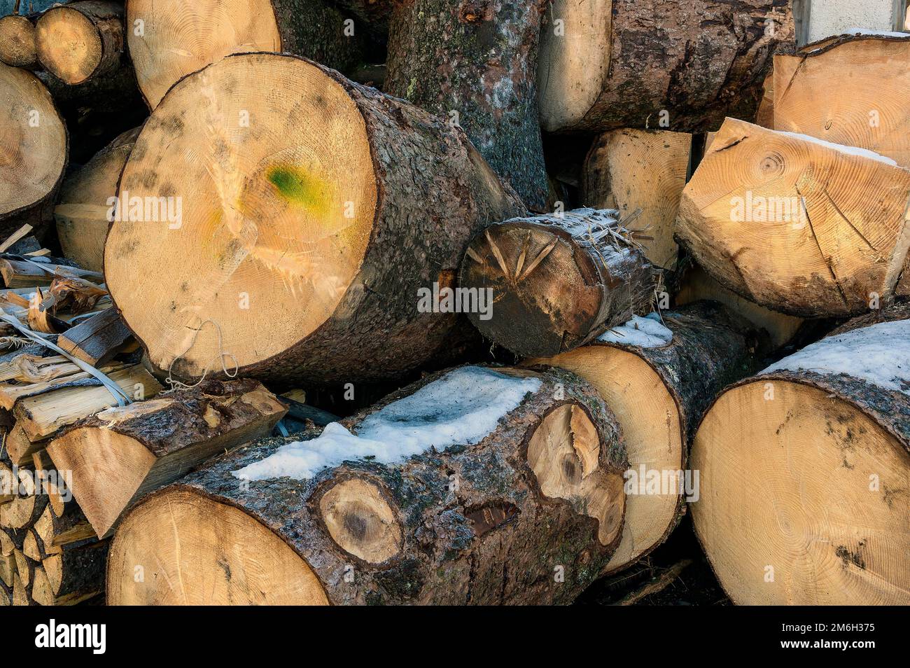 Stacked logs and firewood, Jungholz, Tyrol, Austria Stock Photo - Alamy