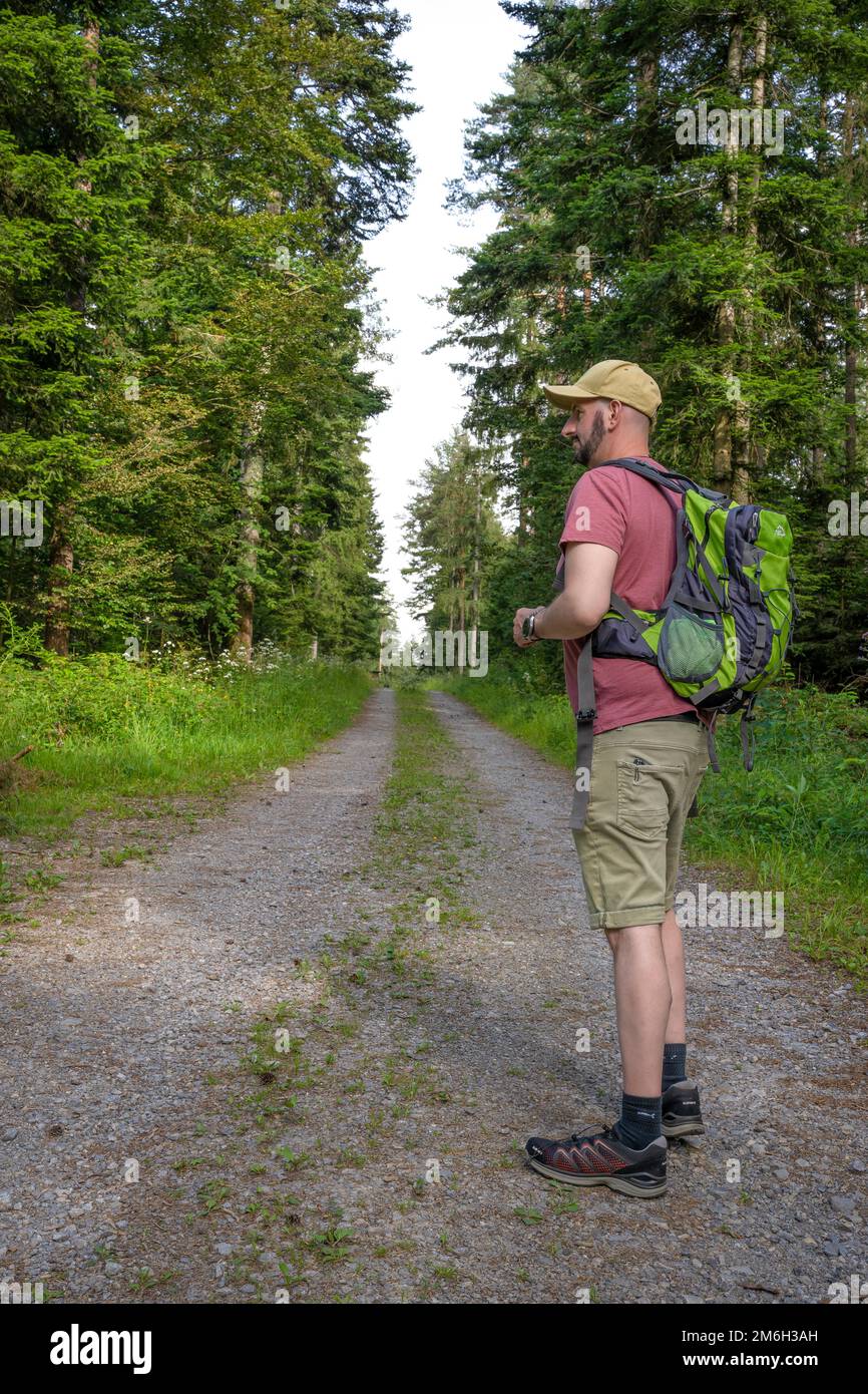 Man hiking in the forest, Black Forest, Bad Wildbad, Germany Stock ...