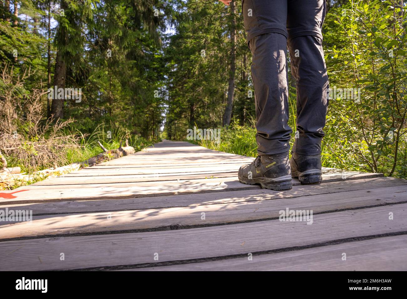 Timber leg hi-res stock photography and images - Alamy